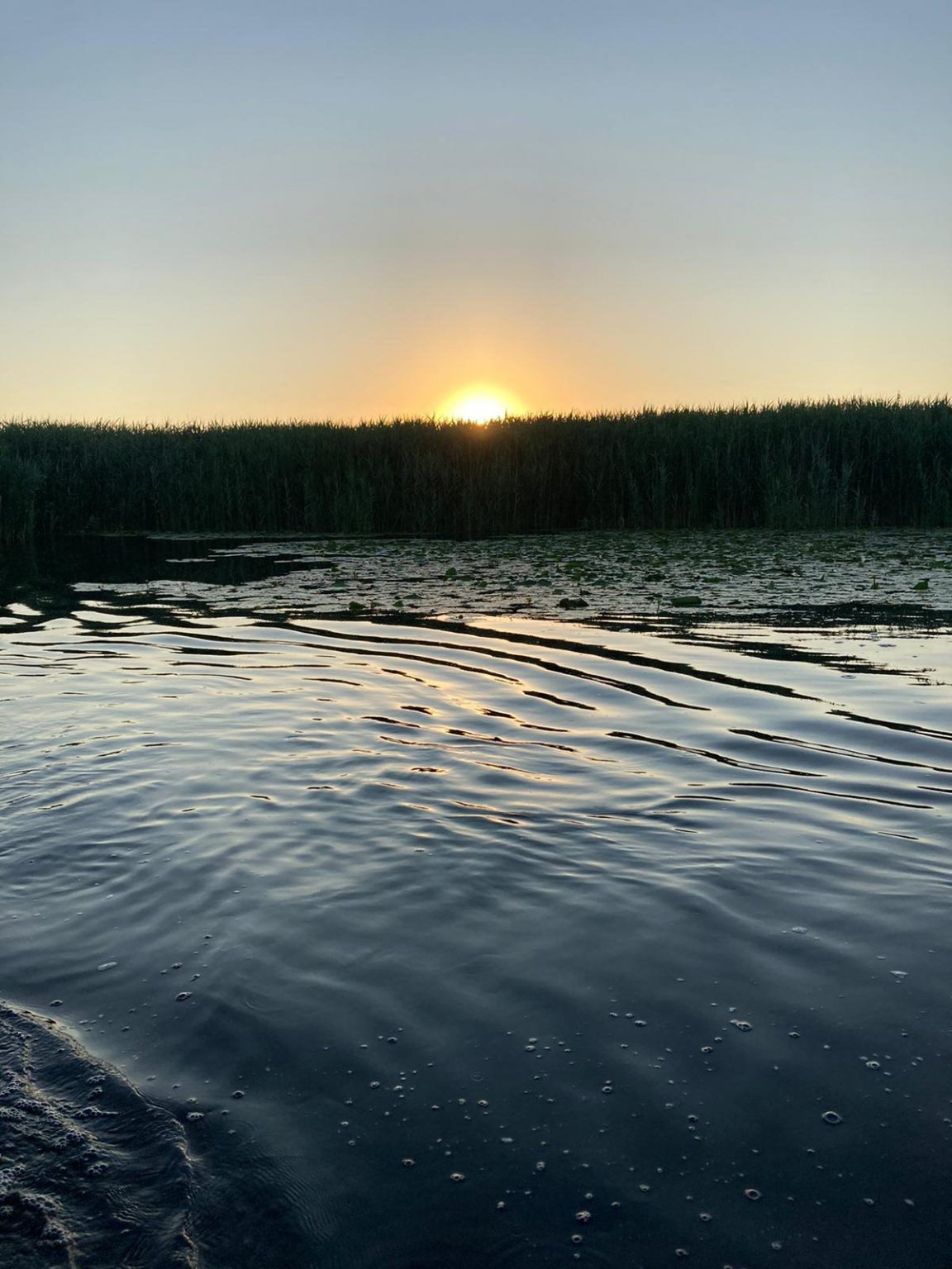 Excursii in Delta Dunarii - Beaching Travel